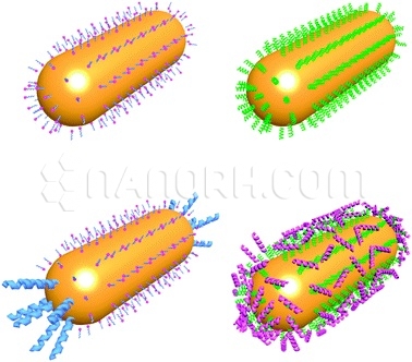 Gold Nanorods - Nanorh