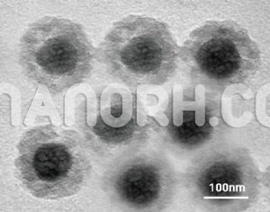 ZnO SiO2 Core-Shell Nanoparticles - Nanorh